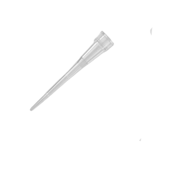 WHITE TIP – Medista Utama